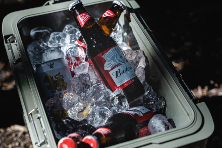 シマノのハイスペッククーラー「ICE BOX」に新サイズ/新カラーが追加 | キャンプレビュー